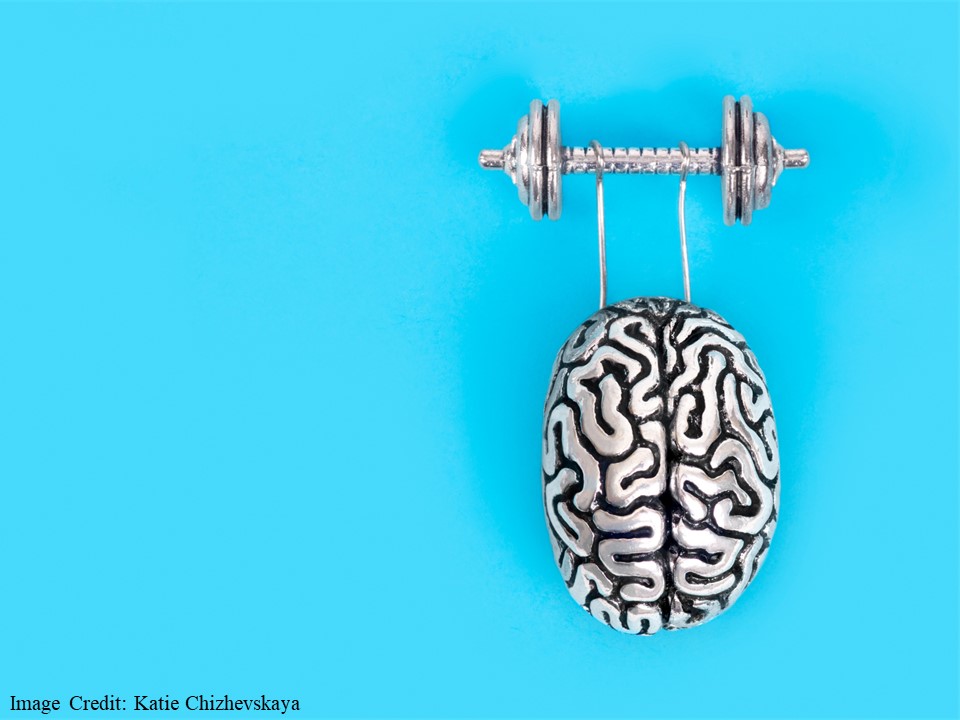 Online Teaching + Research: Insights from Cognitive Load Theory ...